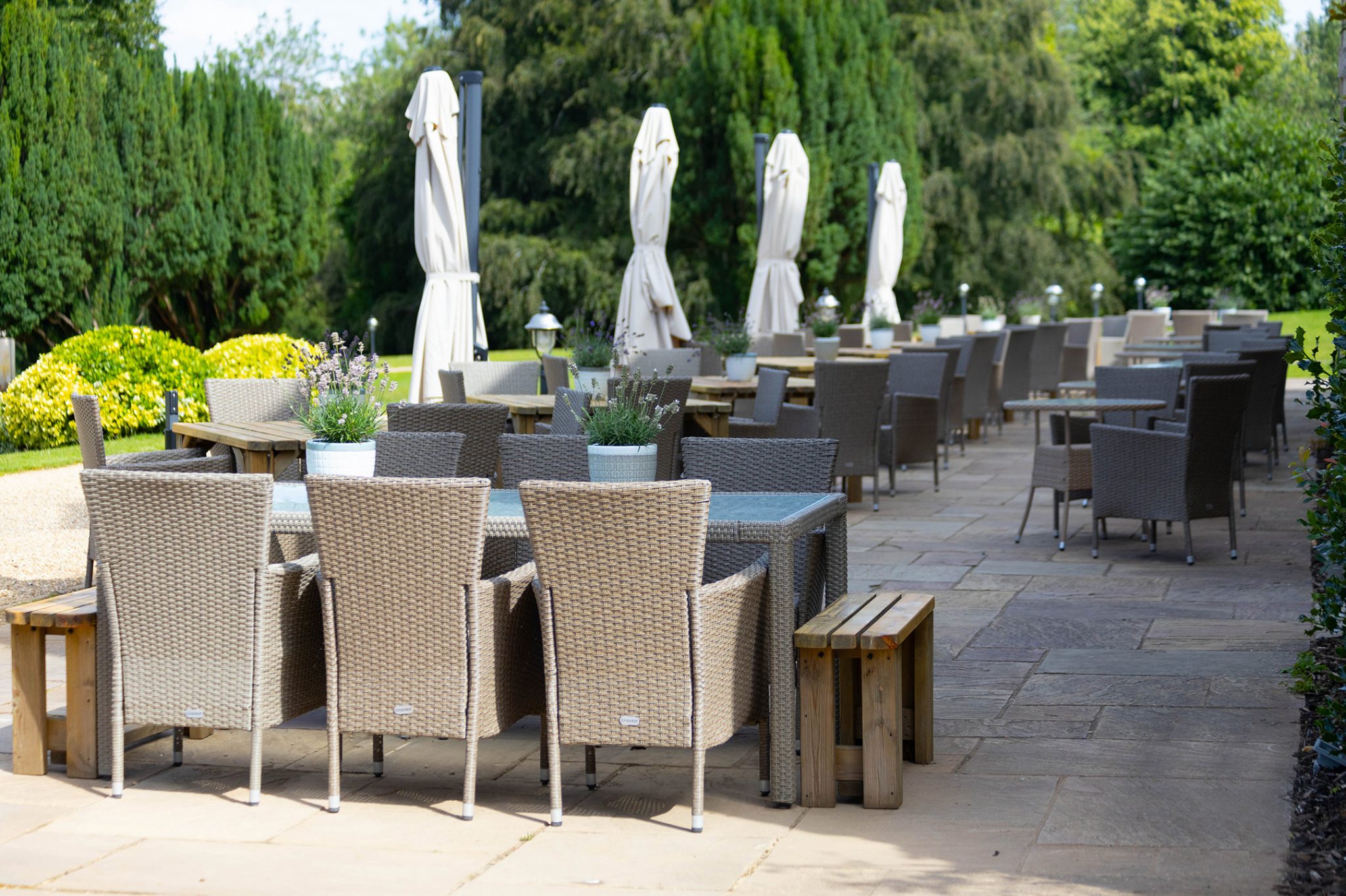 Exquisite Dining Experience in Kettering, Northamptonshire | Vines ...